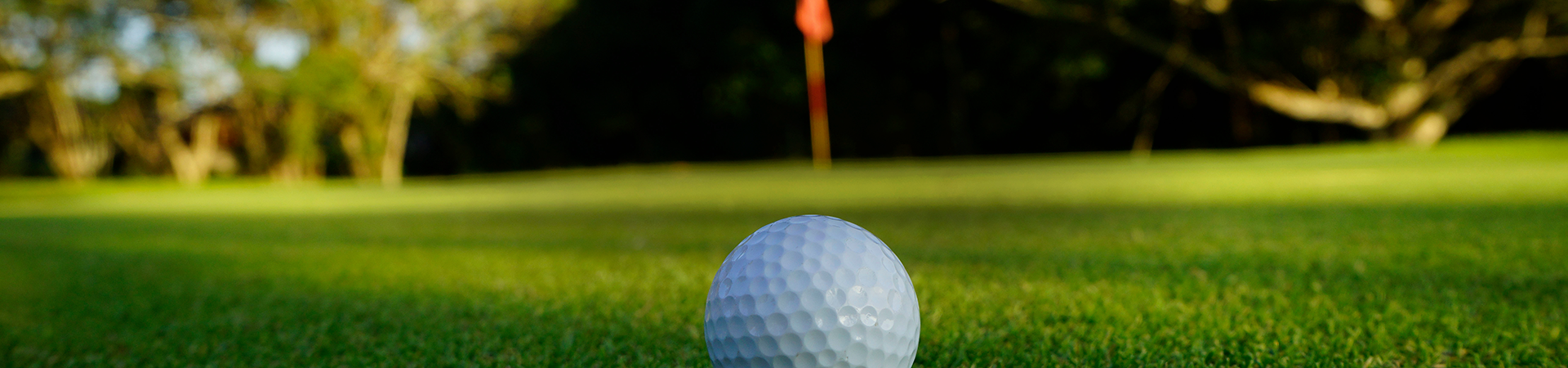 2024 Golf Classic | Girl Scouts of Suffolk County