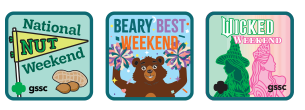 Volunteer Fall Resources